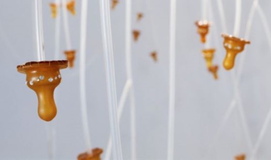 Andrea Hasler på Bon Gallery – Konsten