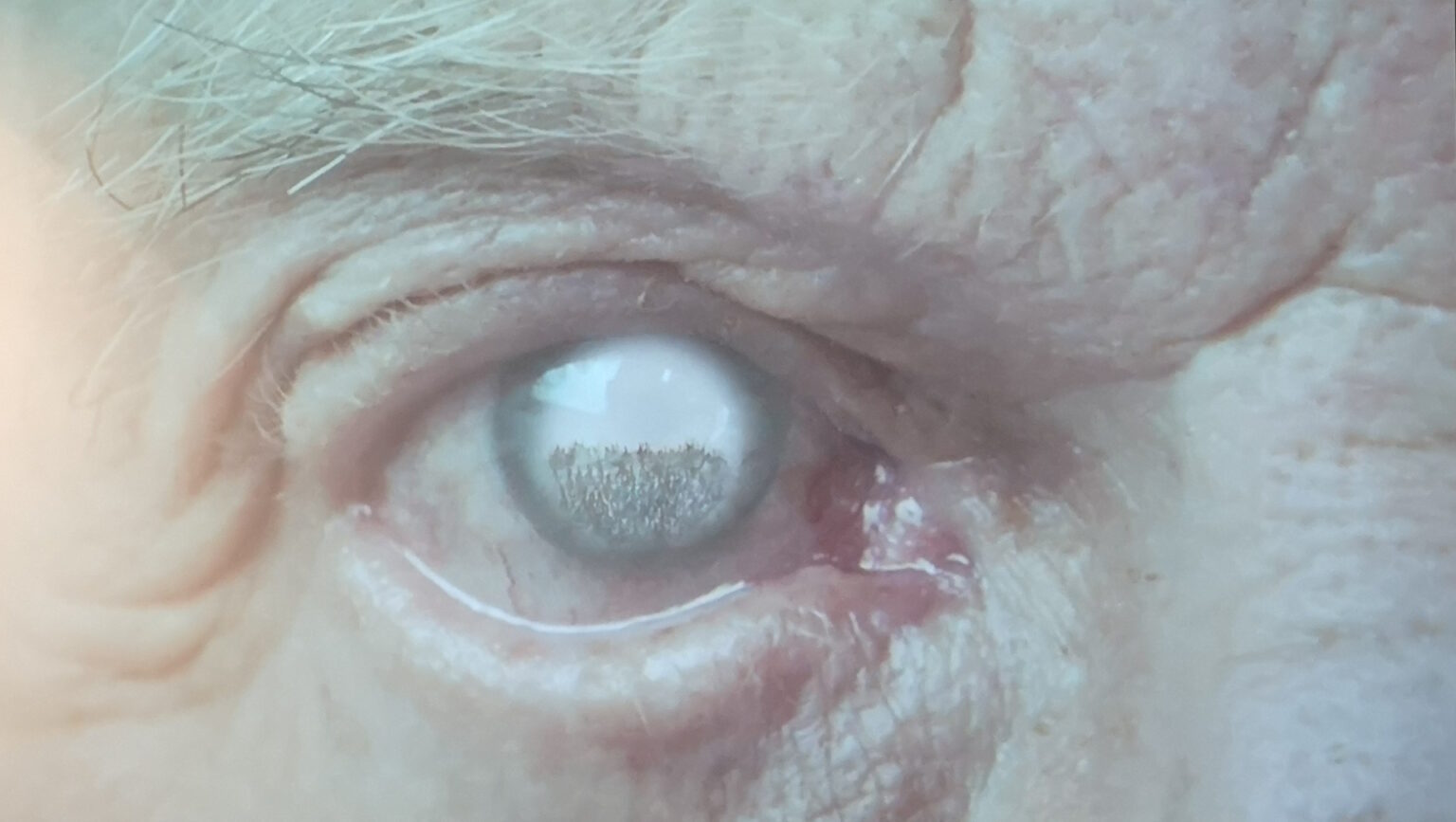 Anna Persson i Norrtälje konsthall – Konsten