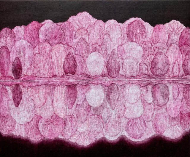 Galleriutställningar med Idun Baltzersen och Maria Hall – Konsten